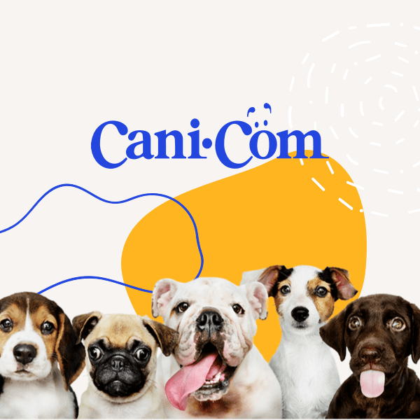 CANI.COM – Il portale dei Cani e il Magazine Cinofilo più completo